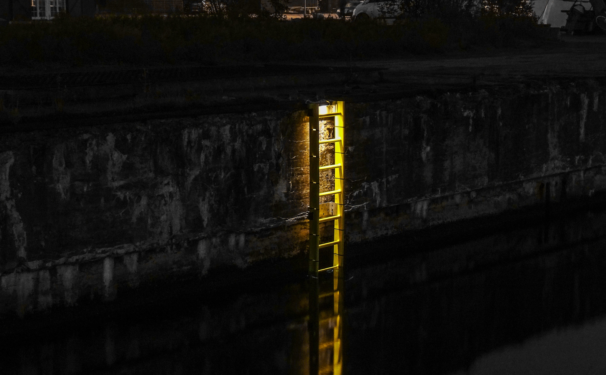 Save Lives With the Best Marina Safety Ladder | Port Safety